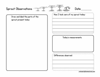 Gardening Printables for Your Discoveries with Seeds Unit Study