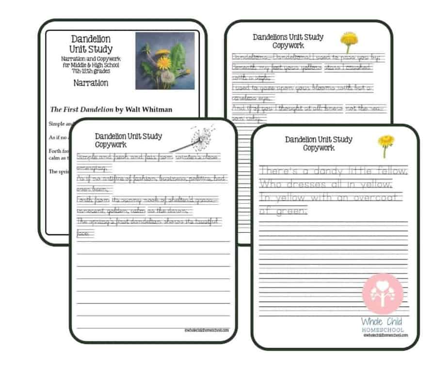 Dandelions Unit Study for Family-Style Homeschool Summer Learning