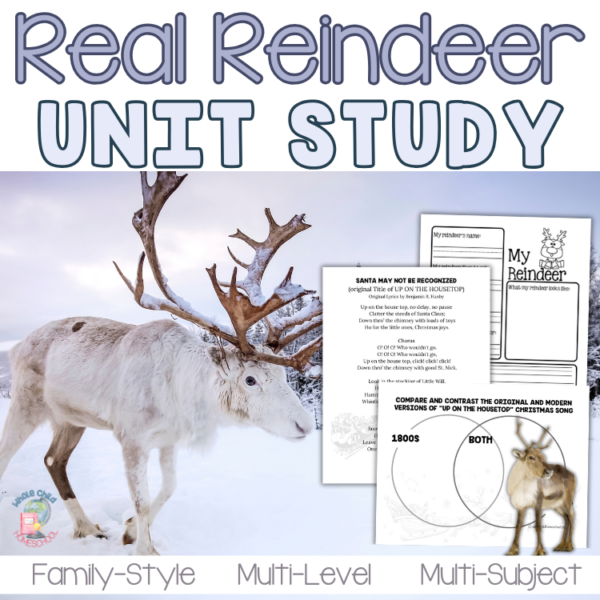 Real Reindeer Unit Study Bundle for Homeschooling Families
