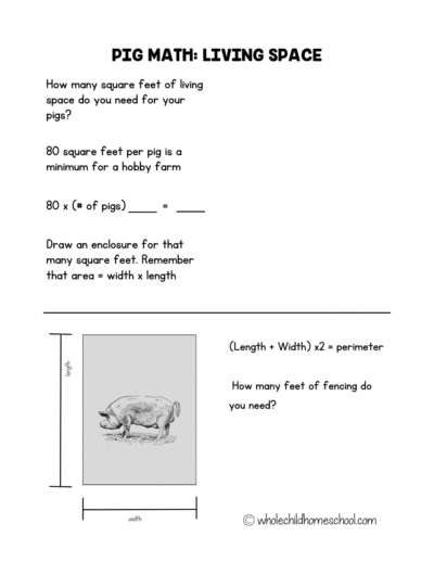 Farm Animals Unit Study BUNDLE