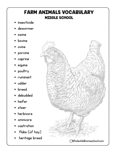 Farm Animals Unit Study BUNDLE